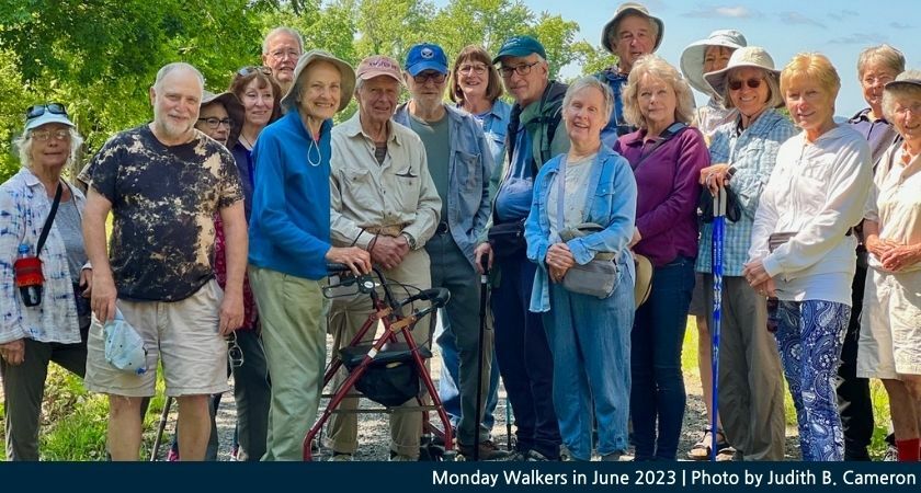 Home - Northampton Neighbors