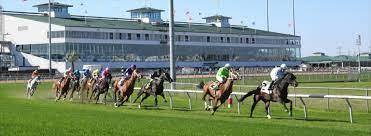 Afternoon Racing at Sam Houston Race Park - Events Calendar - Space ...