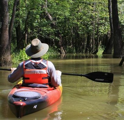 Caddo Lake Paddling - Events - Houston Association of Sea Kayakers