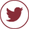 Events - Gamma Sigma Sigma National Service Sorority