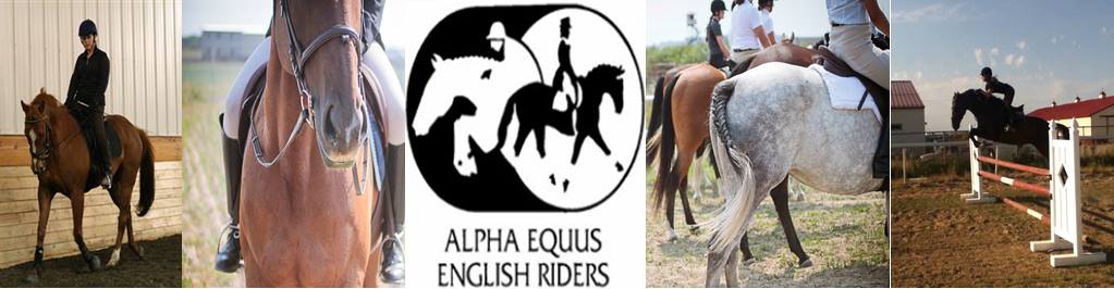 Home - Alpha Equus English Riders