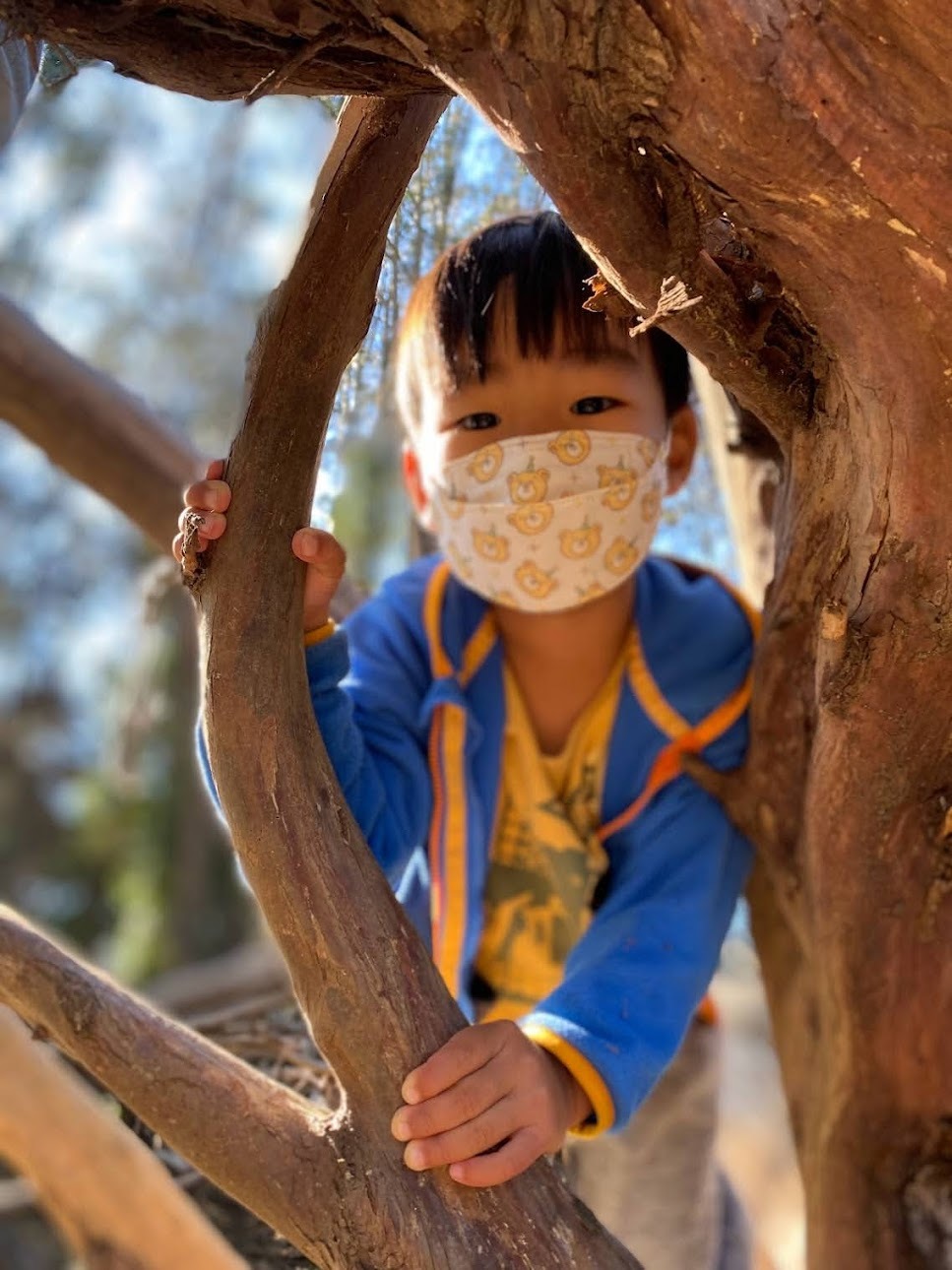 Climbing Trees