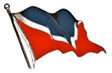 NAVA Flag - North American Vexillological Association