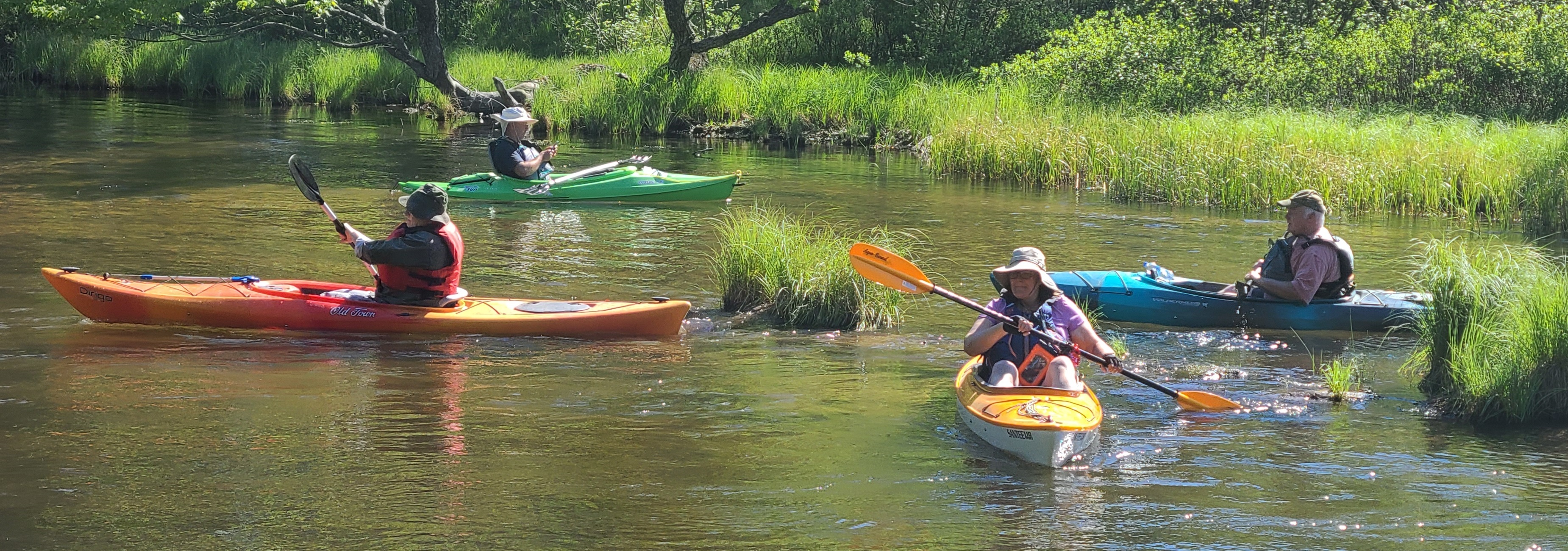 Home - Michigan Geocaching Organization (MiGO)