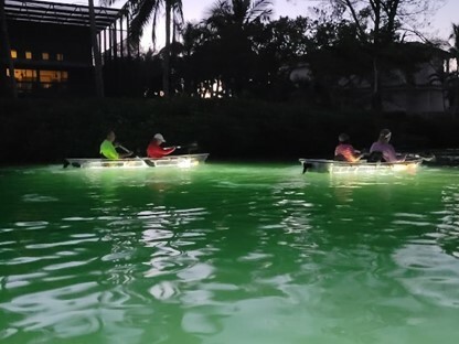 REAL FLORIDA - Clear Kayak LED Night Tour - Events - Venice Newcomers Club