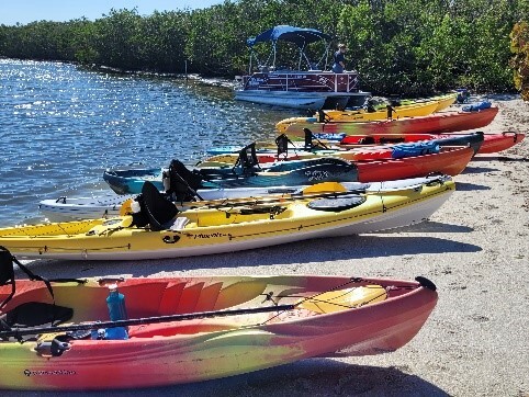 Real Florida - KAYAKING ADVENTURE - Lyons Bay in Nokomis - Events ...