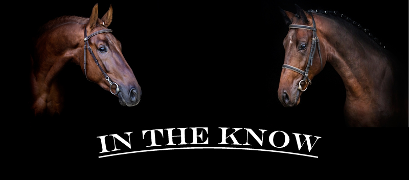 Home - St. Louis Area Dressage Society