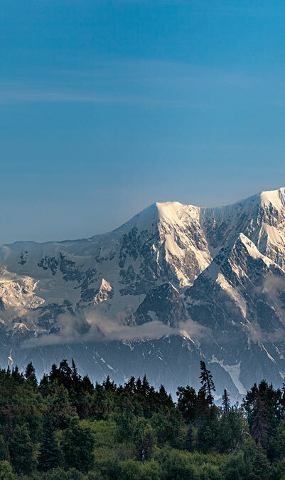 Home - Denali Oncology Group