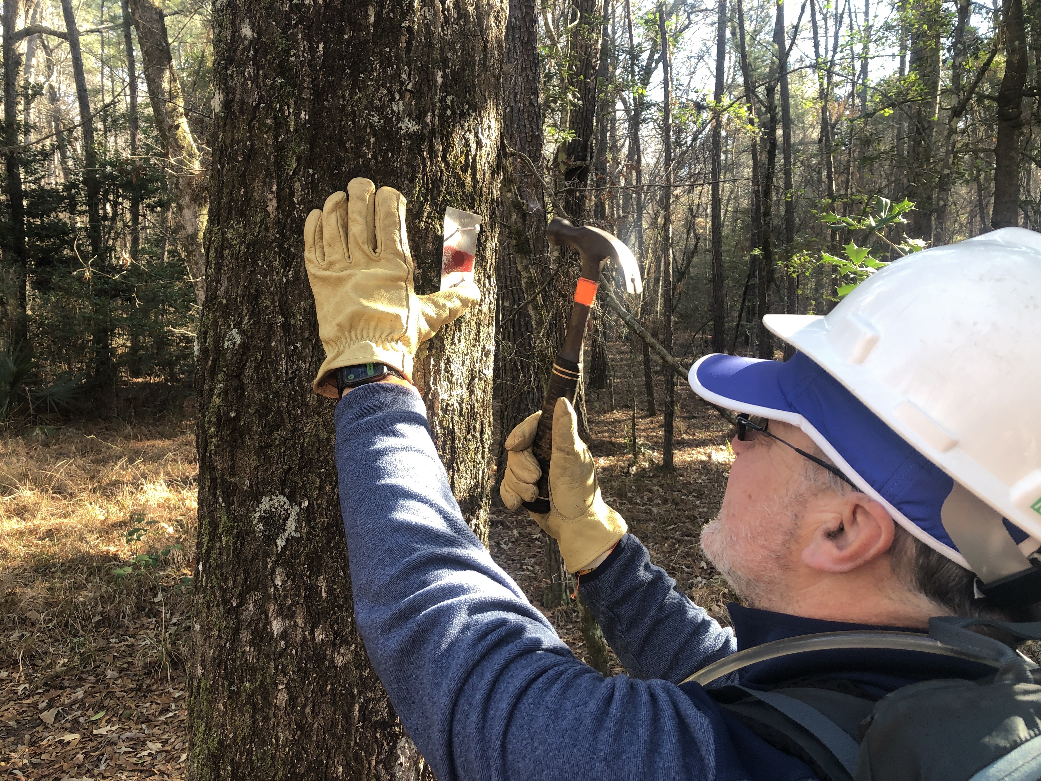 WORKDAY: LSHT Magnolia Section Corridor Work - Events - Lone Star ...