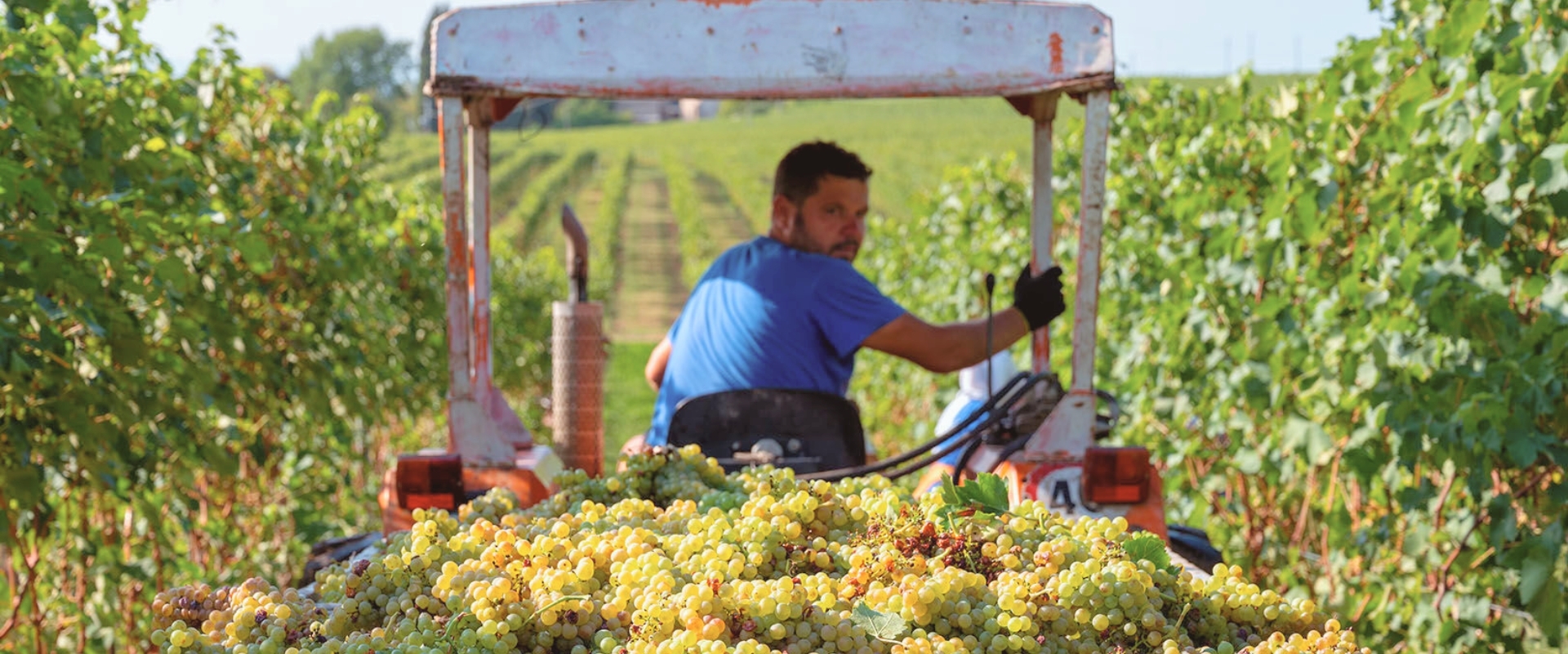 May 23rd Wine Club at Church Street Wine Shoppe DOWNTOWN - Events ...