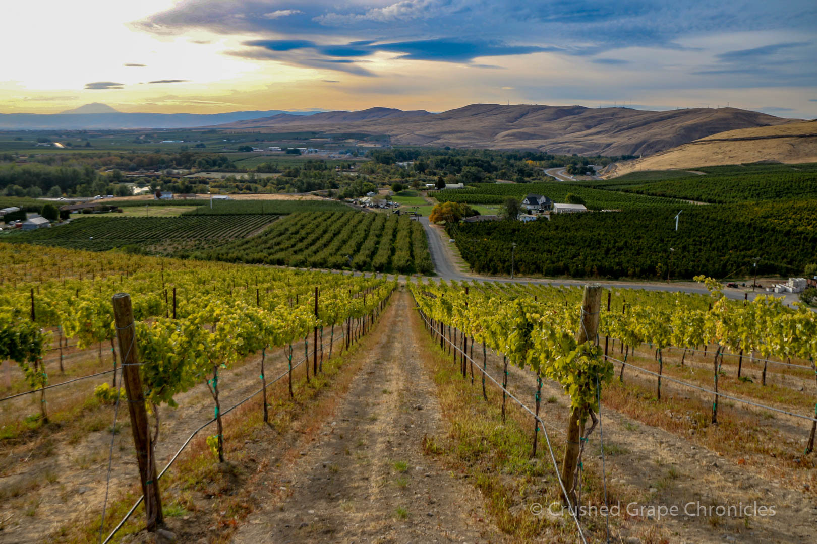 February 27th Wine Club at Mazzara's Vinoteca - Events - Church Street ...