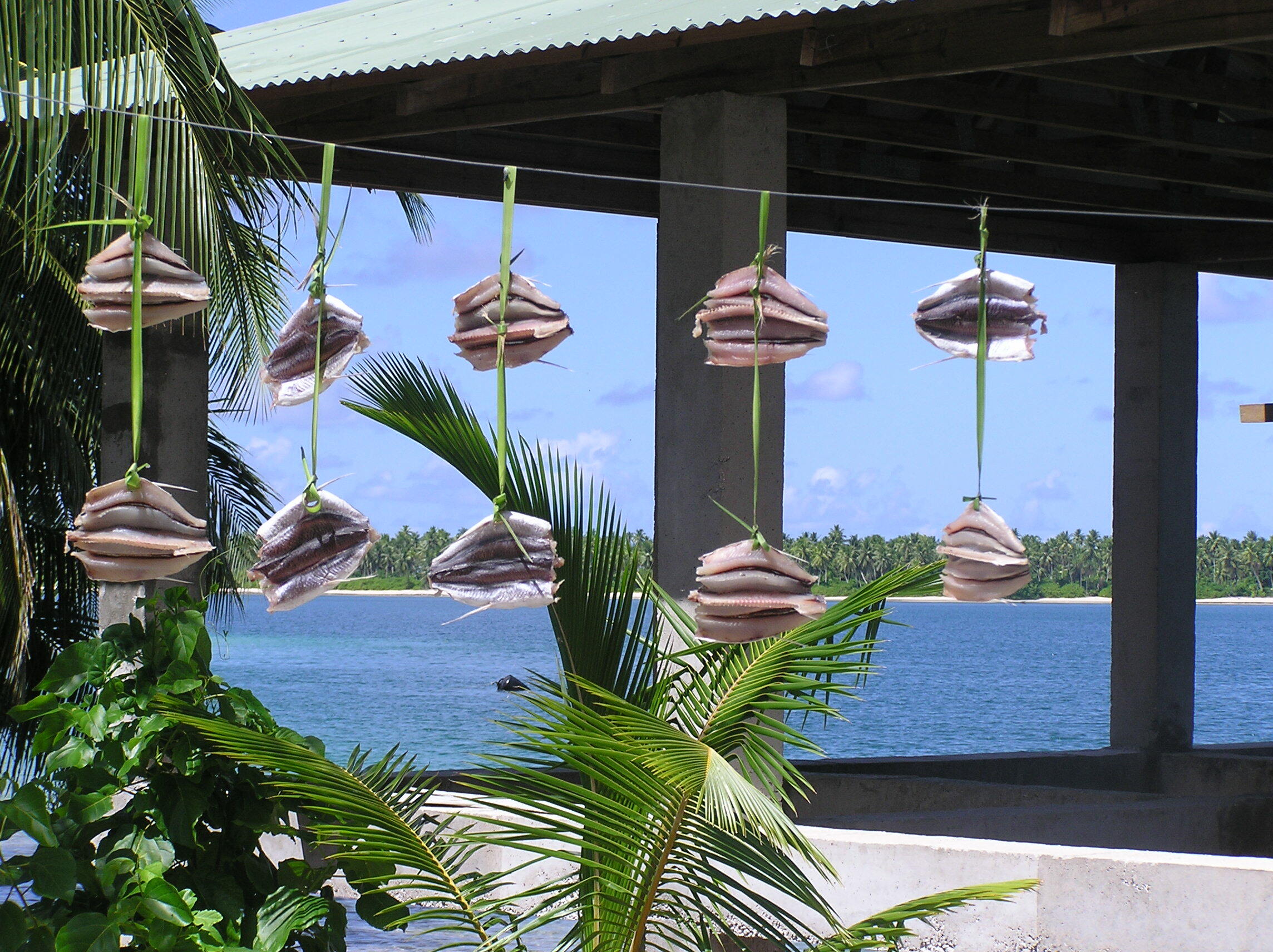 Home - Association for Social Anthropology in Oceania