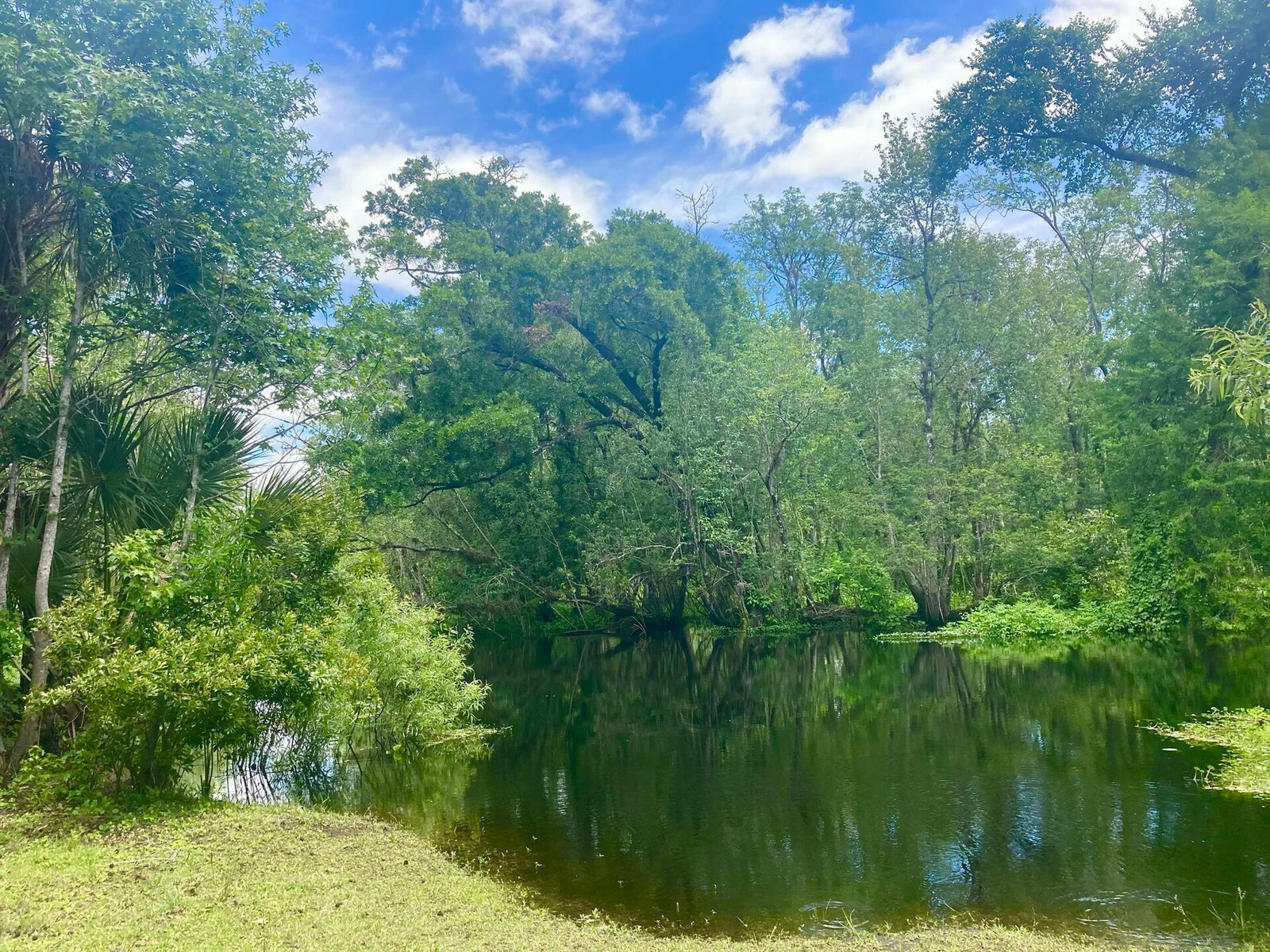 Seminole State Forest Gravel Ride - Event Calendar - Caloosa Riders ...