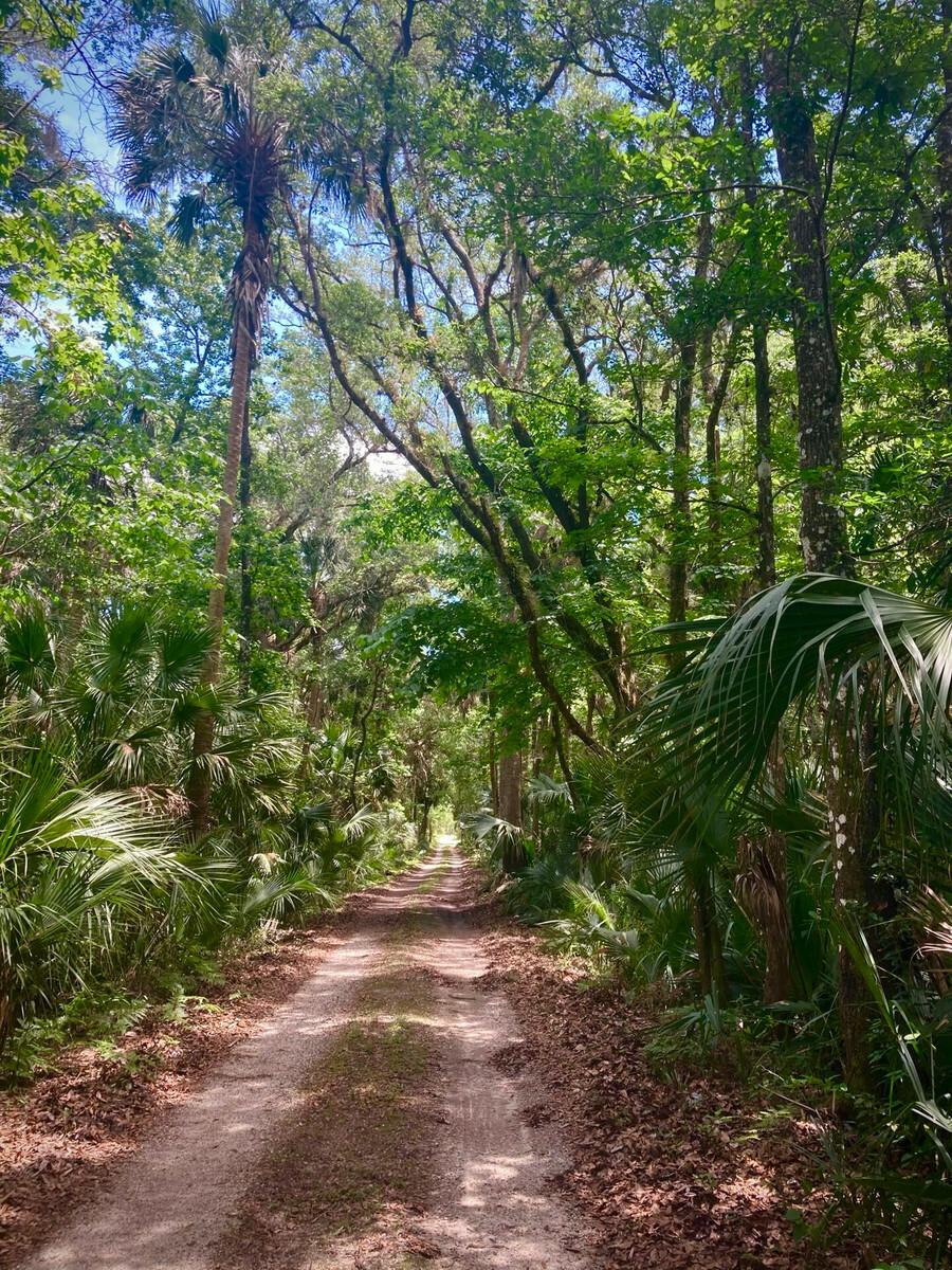 Seminole State Forest Gravel Ride - Event Calendar - Caloosa Riders ...