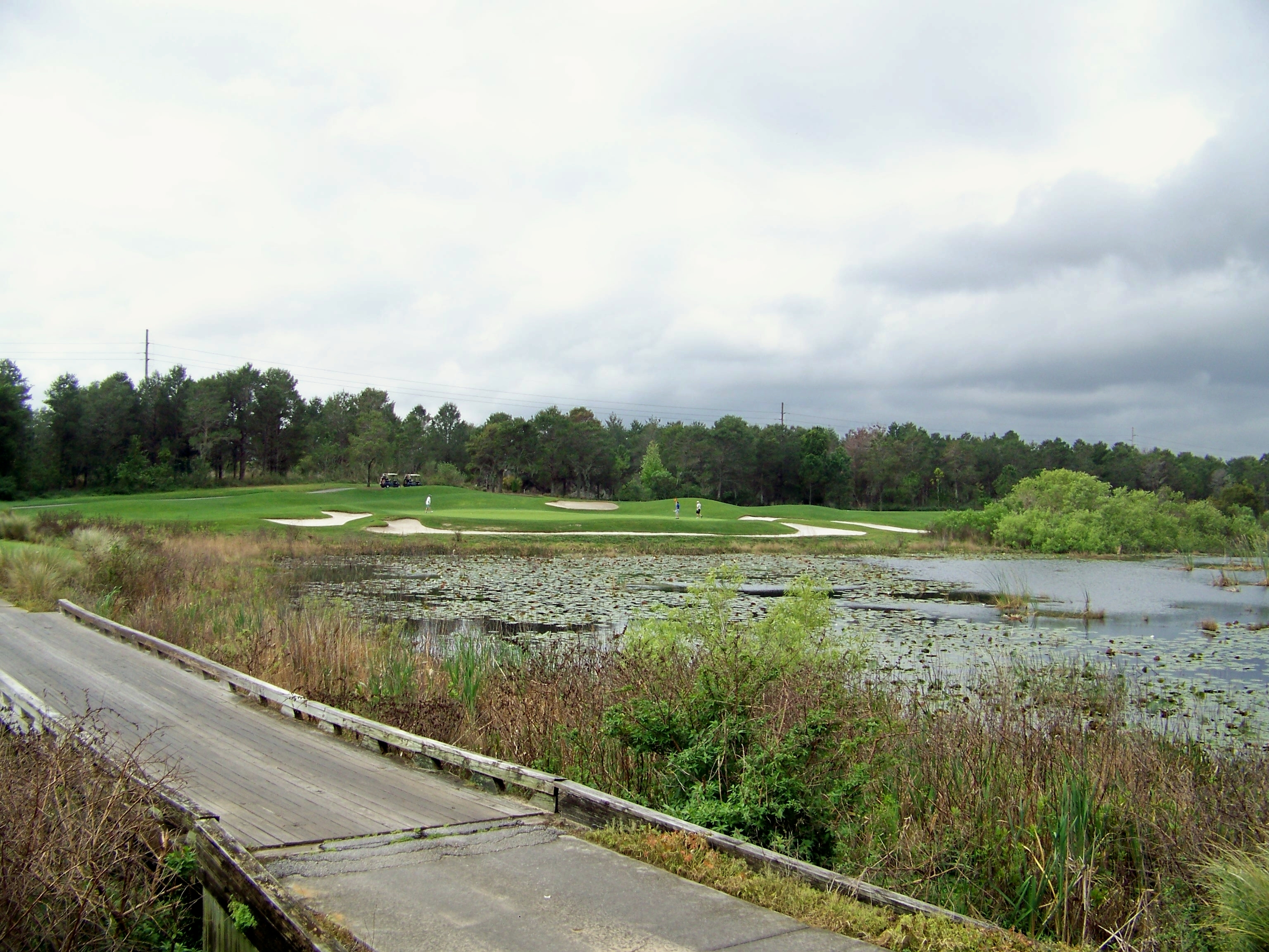 Golf Orange County National- Crooked Cat 9:30 am - $79+tx Fl Resident ...