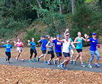 Home - San Francisco Road Runners Club