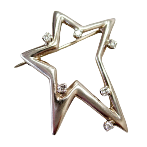 TPG Star Pin - The Professional Group