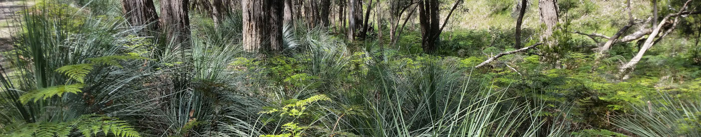 Colonial Track - Friends of Black Hill & Morialta