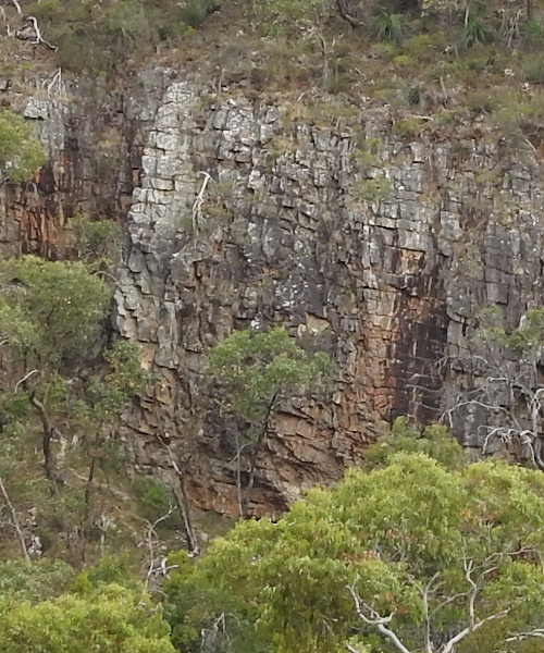 Our Projects - Friends of Black Hill & Morialta