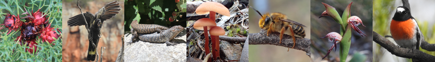 Donations - Friends of Black Hill & Morialta