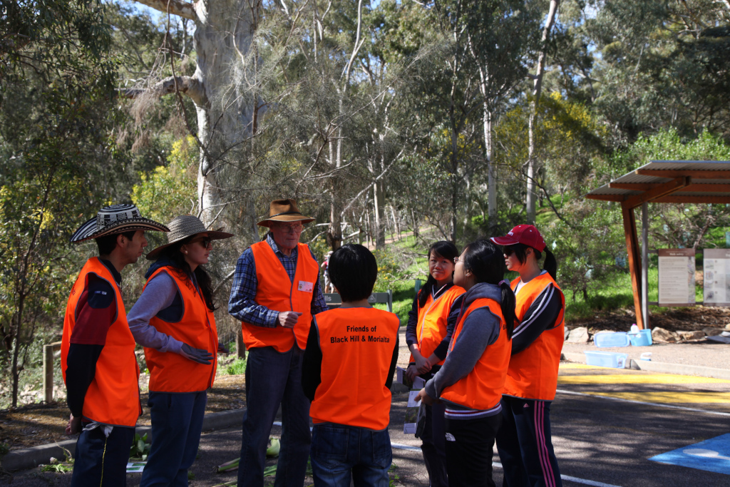 Volunteer opportunites - Friends of Black Hill & Morialta