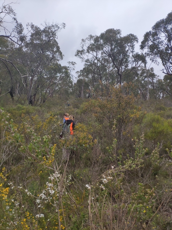2022 Pylon Track Report - Friends of Black Hill & Morialta