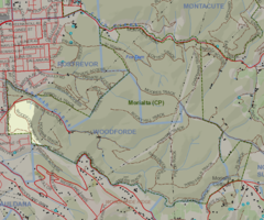 Olive Hill - Friends of Black Hill & Morialta