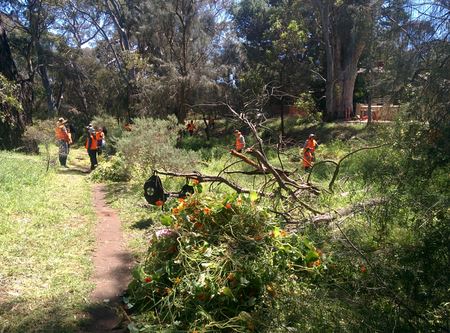 About Us (Copy) - Friends of Black Hill & Morialta