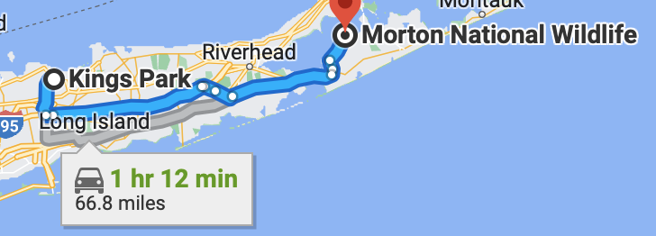 MortonMap