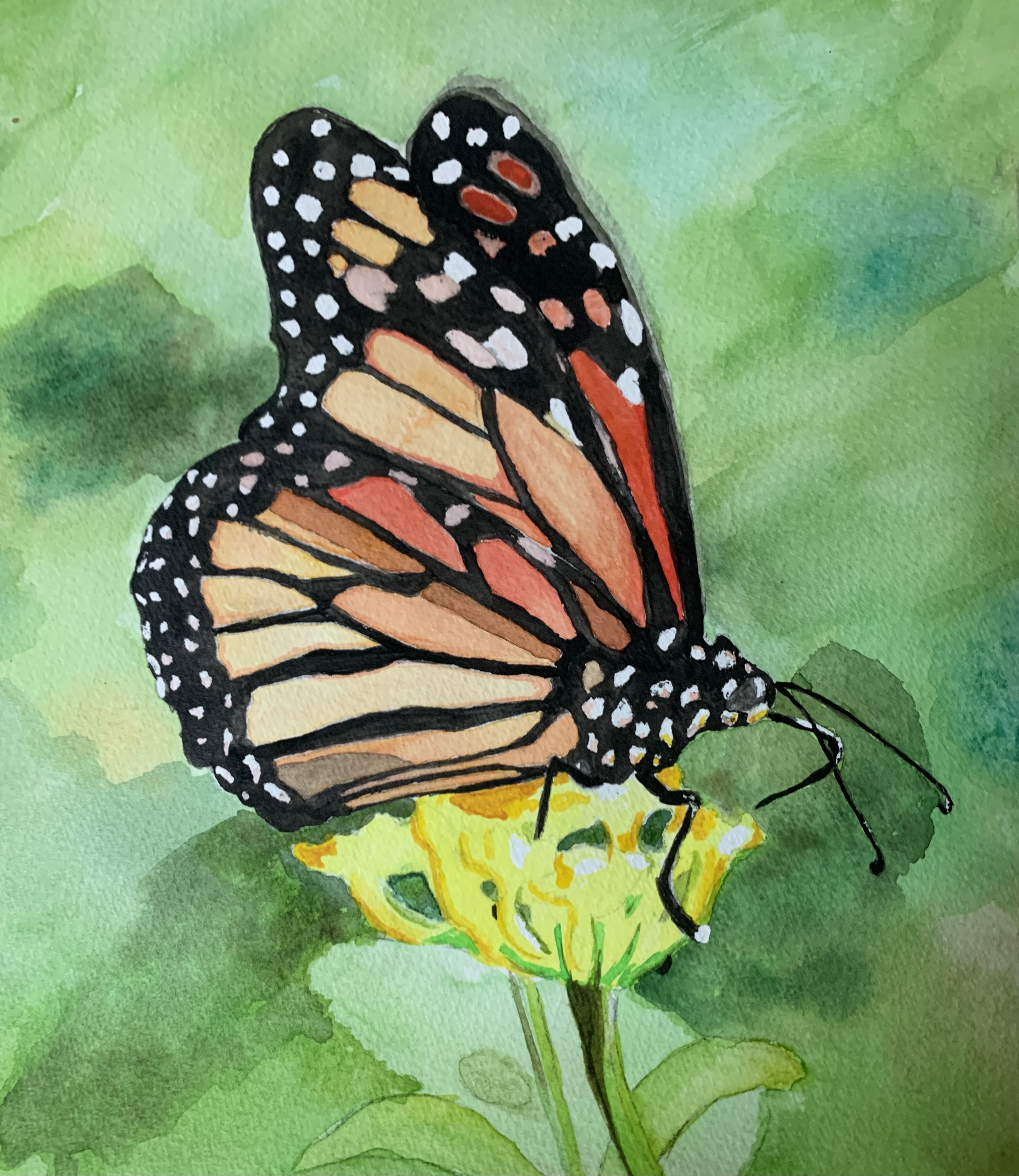 Watercolor Month Show and Sale - Mid-Southern Watercolorists