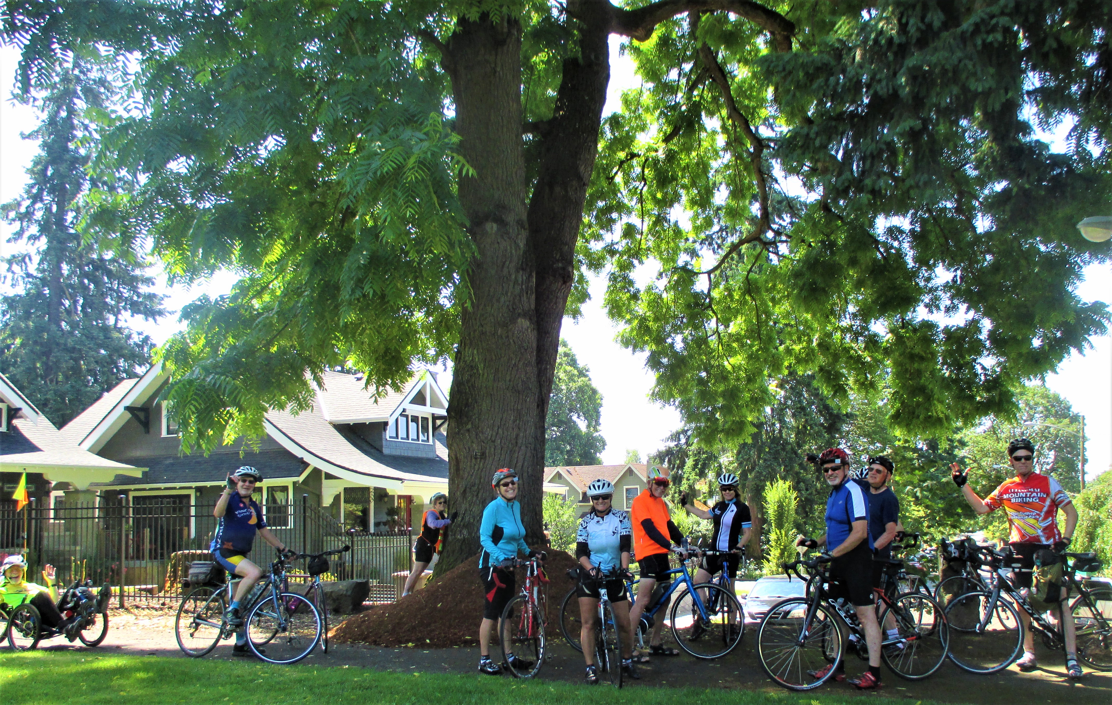 JOY!ride Heritage Tree Ride With The City Of Vancouver 5:30PM (VAN ...