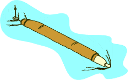 So What's a Dracone? - Florida Water and Pollution Control Operators ...