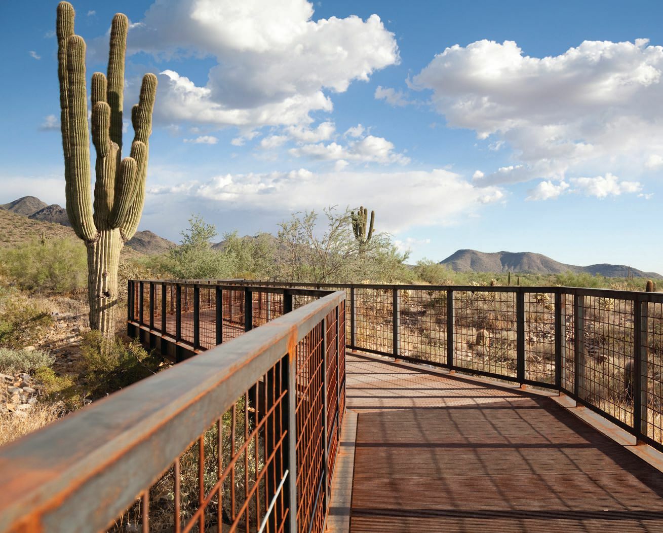 MID-WEEK WORKOUT: HIKE GATEWAY LOOP, SCOTTSDALE - Events - Scottsdale ...