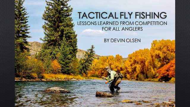 Home - Golden State Flycasters