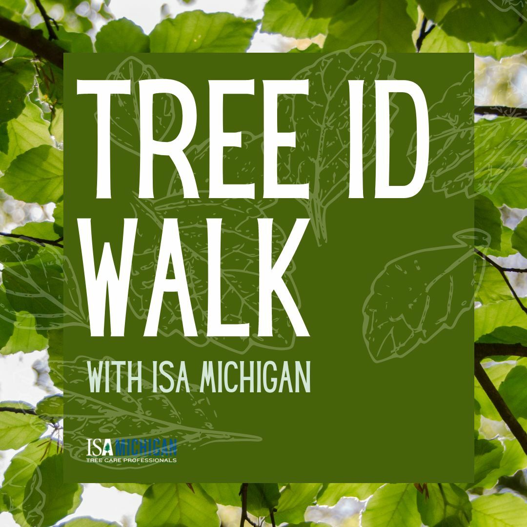 Tree ID Walking Tour - Auburn Hills - Events - ISA Michigan
