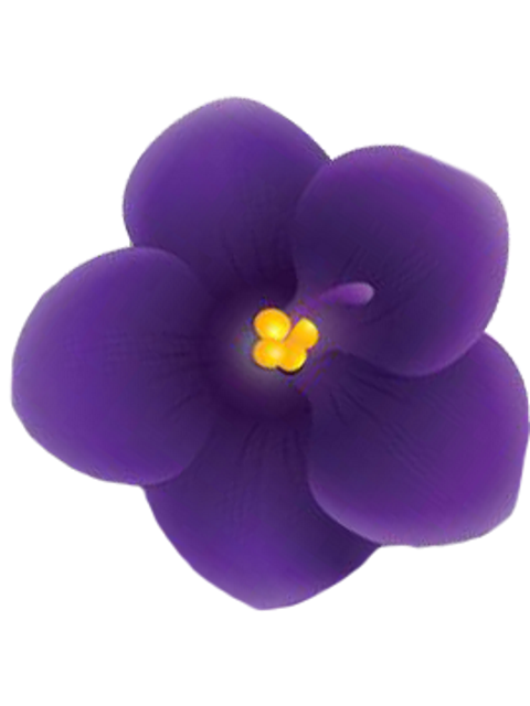 Chapter Meeting - Events - Gwinnett County Alumnae Chapter | Delta ...