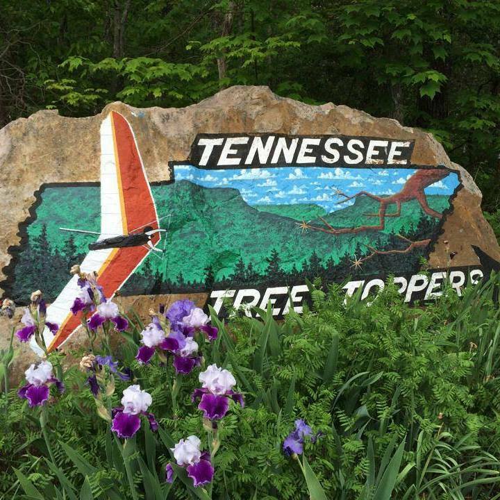 Home - Tennessee Tree Toppers