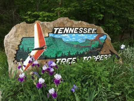 Home - TennesseeTreeToppers