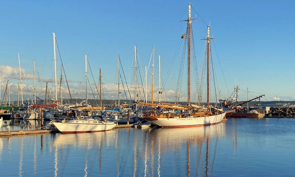Open Boat Day at Boat Haven Marina - Events & Cruises - Port Townsend ...