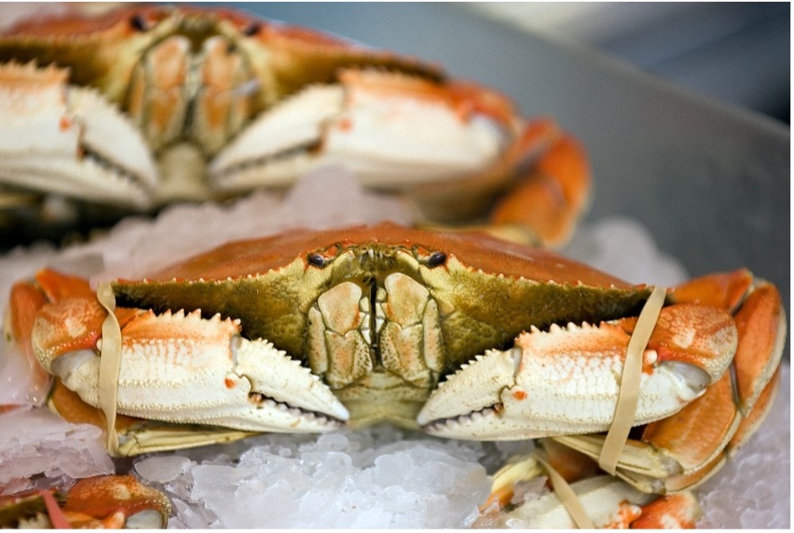Carl Sidle Memorial Crab Feed 5:30-7:30 PM - Events & Cruises - Port ...