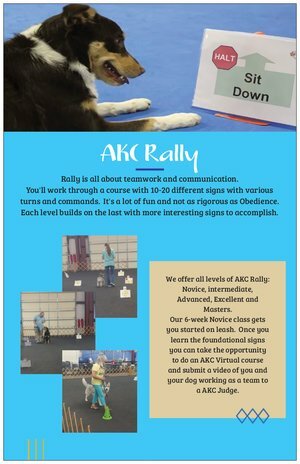 AKC Rally Excellent & Masters