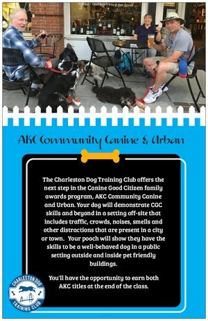 Therapy Dog Prep - 5Wk Class