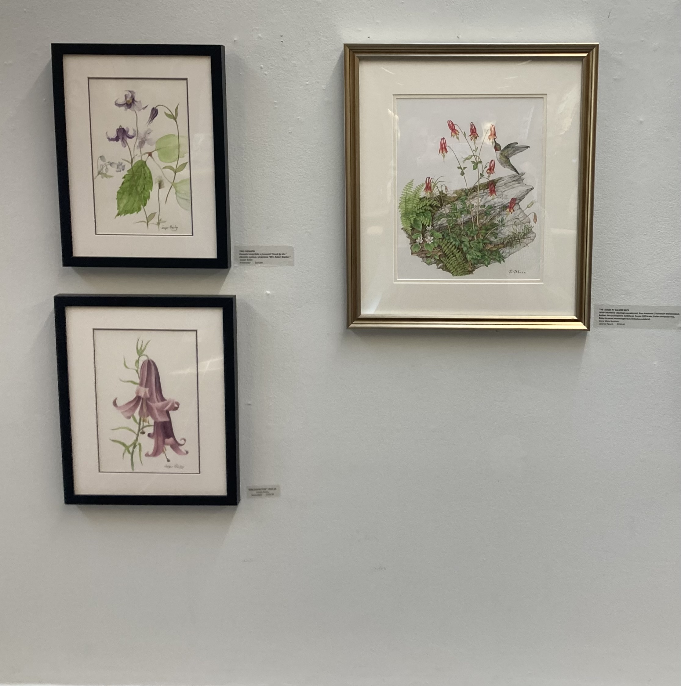 Works by Joe Bailey, Elena Maza-Borkland