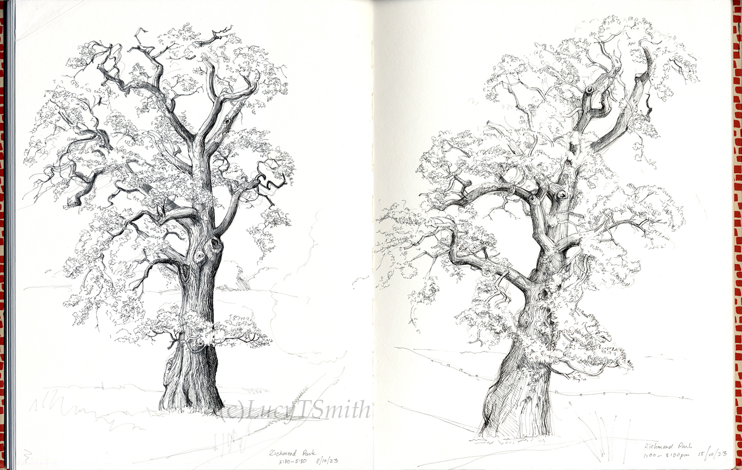 2024 - Pittsburgh - American Society of Botanical Artists