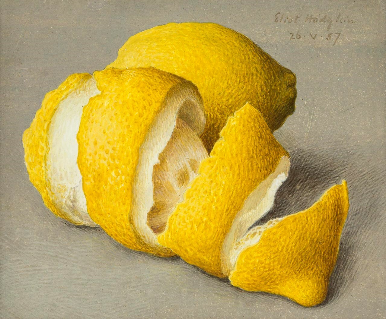 2024 - Pittsburgh - American Society of Botanical Artists