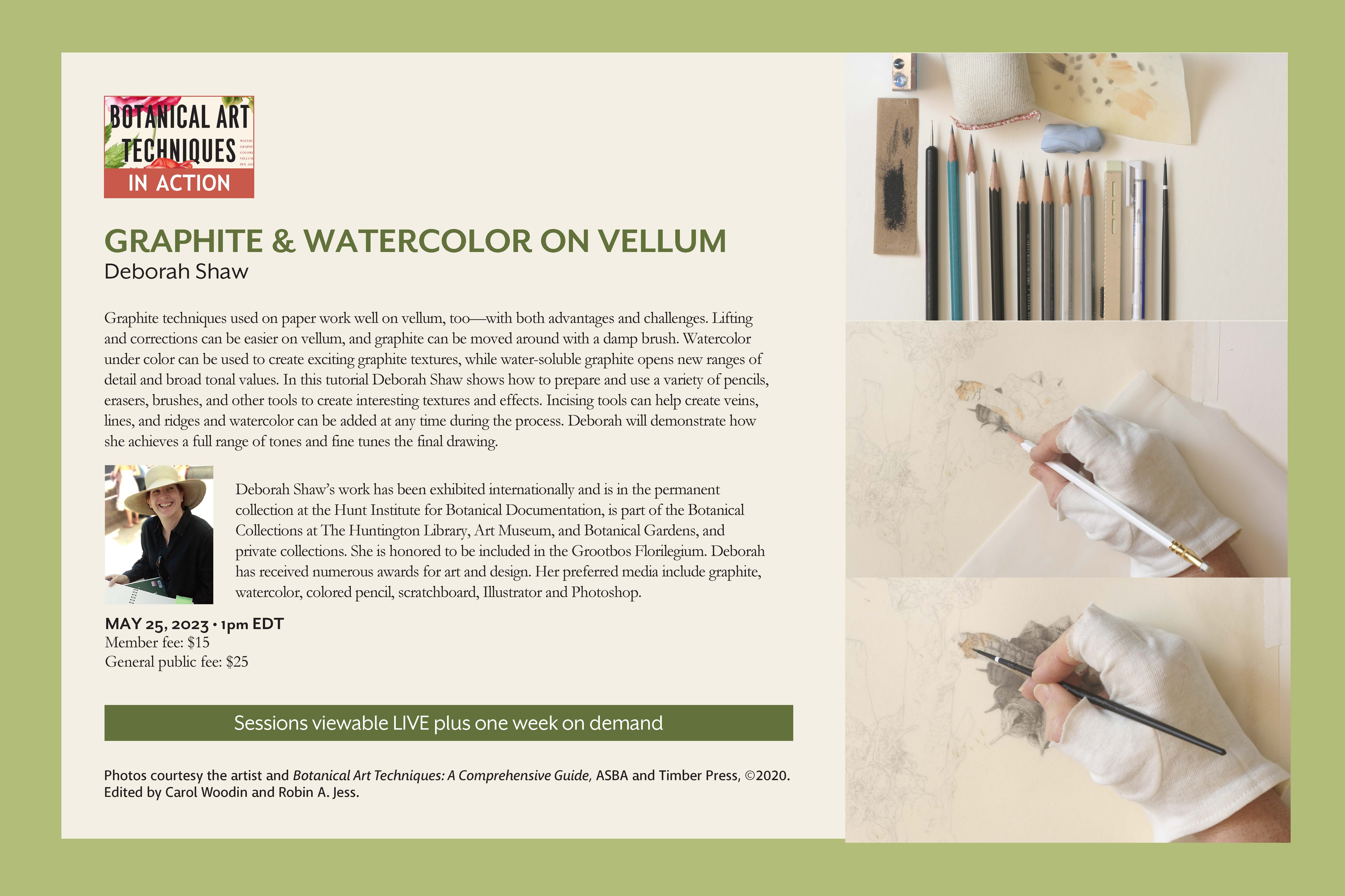 ASBA Botanical Art Techniques in Action with Deborah Shaw - Events ...