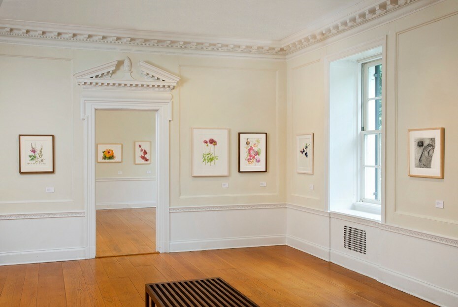 25th Annual Exhibition - American Society of Botanical Artists