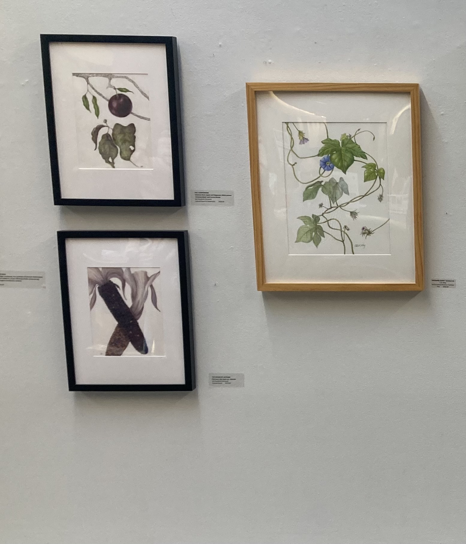 Works by Gail Goodrich Harwood, CB Exley