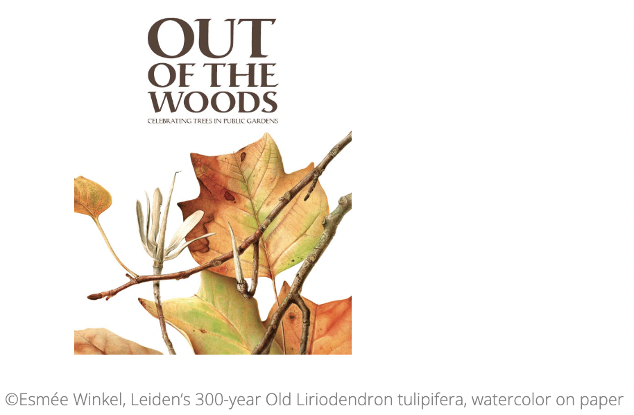 Out of the Woods Exhibition - American Society of Botanical Artists