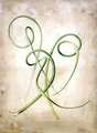 Abundant Future Exhibition - American Society of Botanical Artists
